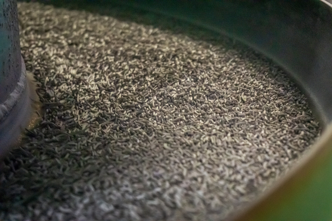 Axens Salindres | Axens